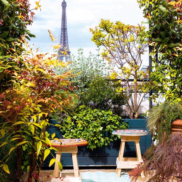 Comment entretenir un jardin sur balcon ? - Moving Tahiti